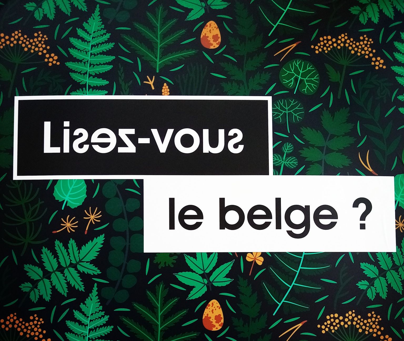 Lisez-vous le Belge ? – Recours au poème