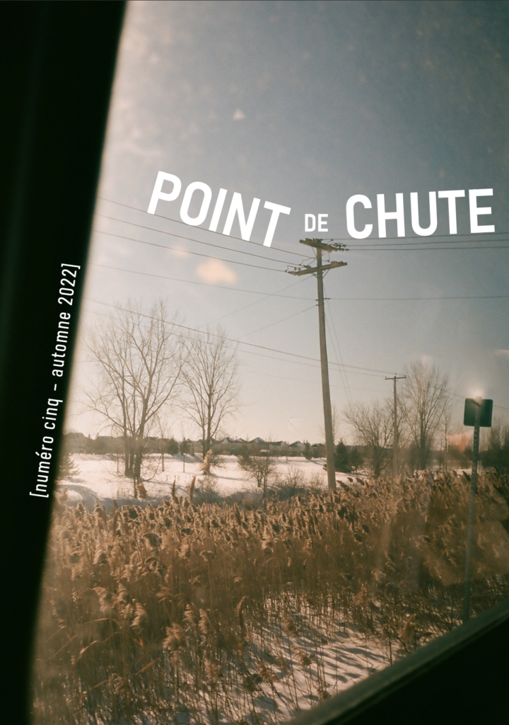 Point de chute, la Revue ! – Recours au poème