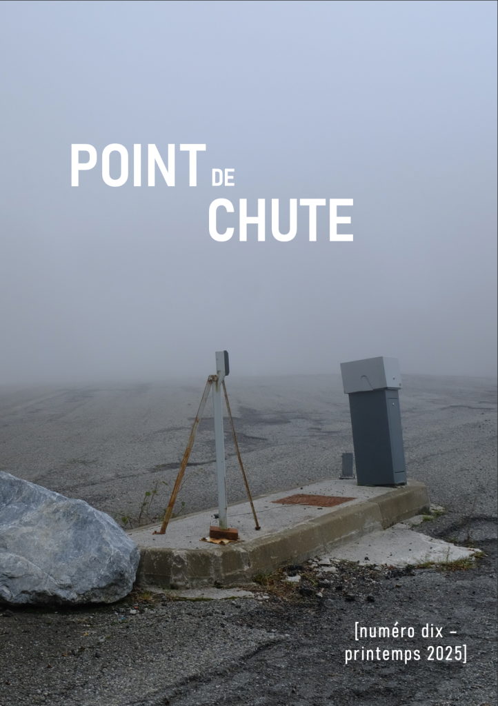 Point de chute, cabane semestrielle pour poèmes en chantier - n°10 ...